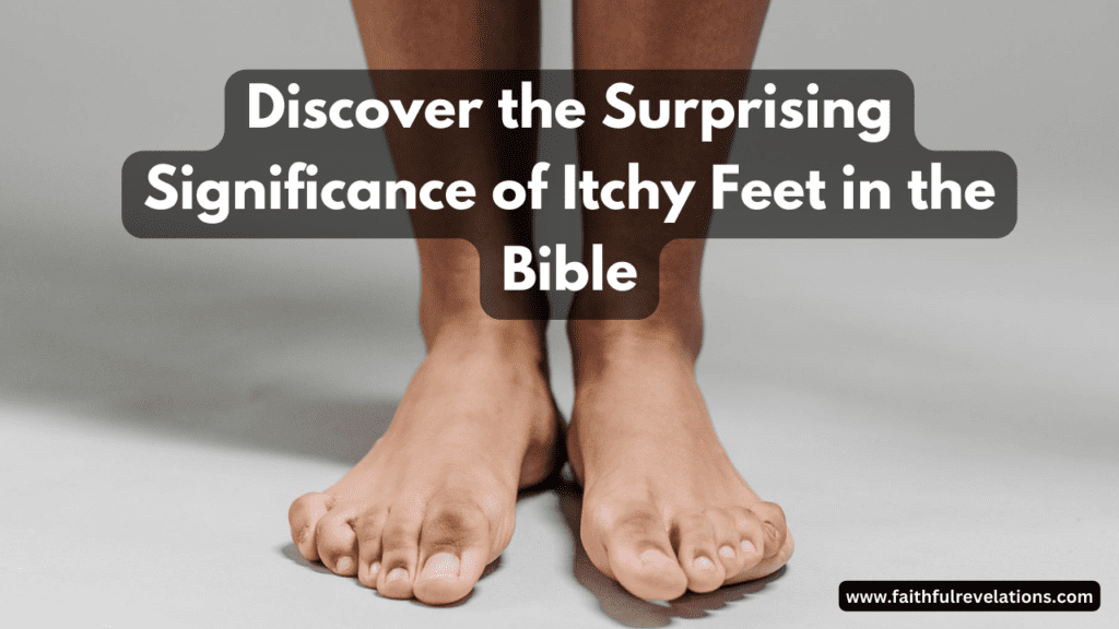 CSB Vs ESV: Which Bible Translation Is Best for You?